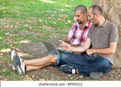 Two Men Working Computer Park Stock Photo 89953111 | Shutterstock
