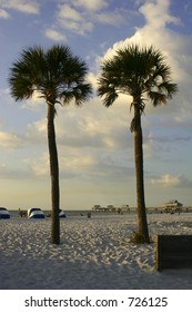 Two Palm Trees Stock Photo 726125 | Shutterstock