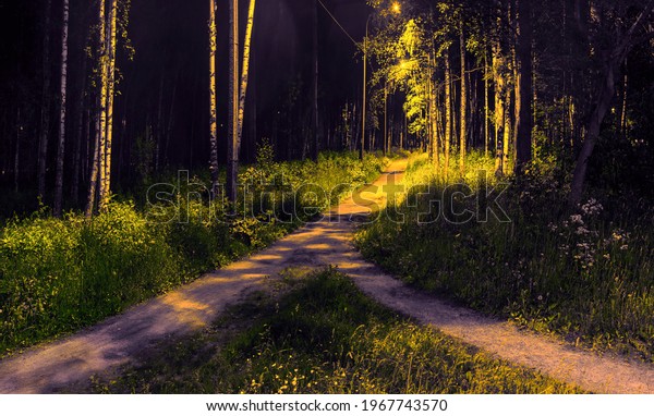 Amalgam tree : 101 photos et images de stock | Shutterstock