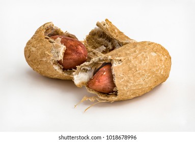 Two Peanuts Isolated Stock Photo 1018678996 | Shutterstock