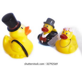 564 Married Ducks Images, Stock Photos & Vectors | Shutterstock