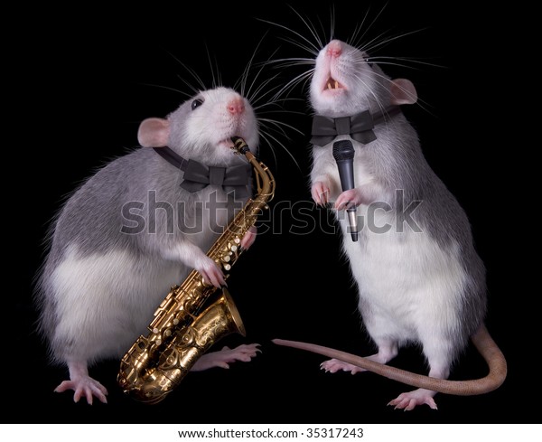831 Singing Rat Images, Stock Photos & Vectors | Shutterstock