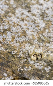 3 Fast curing cement Images, Stock Photos & Vectors | Shutterstock