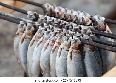 5,177 Dried herring Images, Stock Photos & Vectors | Shutterstock