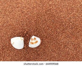 Two Shell On Beach Sand Surface Stock Photo 644909068 | Shutterstock