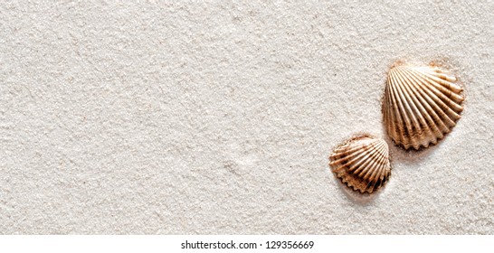 158,318 Shell beach pattern Images, Stock Photos & Vectors | Shutterstock