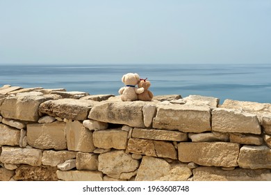 317 Teddy bear front and back Images, Stock Photos & Vectors | Shutterstock