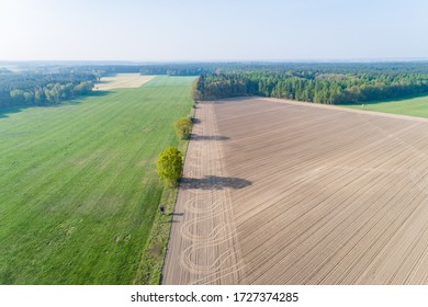 Two Trees Between Differently Used Fields Stock Photo 1727374285 ...