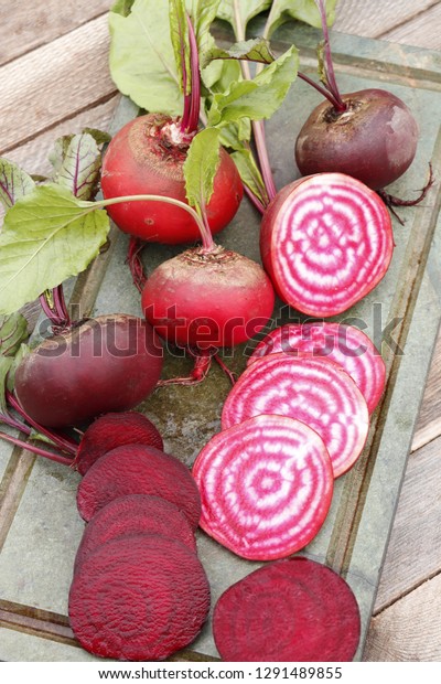 Two Varieties Beets Regular Striped Chioggia Stock Photo 1291489855 ...