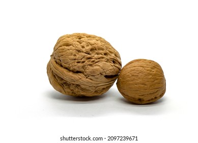 1,682 Walnut size Images, Stock Photos & Vectors | Shutterstock