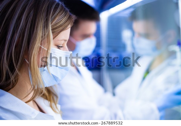 Two Young Scientists During Experiment Lab Stock Photo 267889532 ...