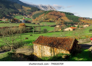 Typical Basque Landscape Between Mountains Animals Stock Photo ...