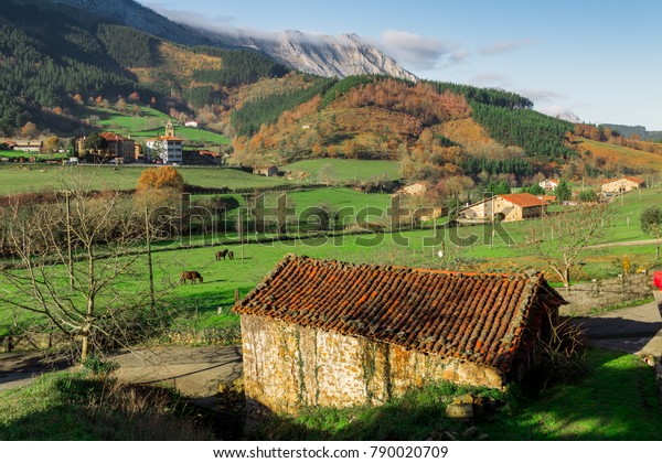 Typical Basque Landscape Between Mountains Animals Stock Photo ...
