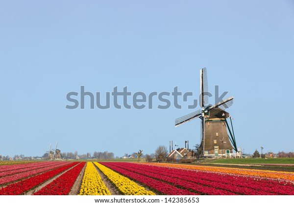 Typical Dutch Composition Windmill Right Red Stock Photo 142385653 ...