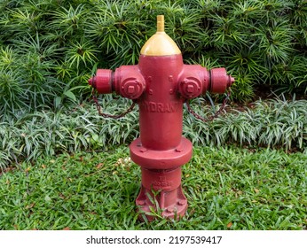 Typical Red Fire Hydrant Two Arms Stock Photo 2197539417 | Shutterstock