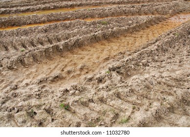 Tyre Tread Pattern Mud Stock Photo 11032780 | Shutterstock