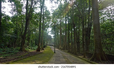 Ui Depok West Java Indonesia June Stock Photo 2167054891 | Shutterstock