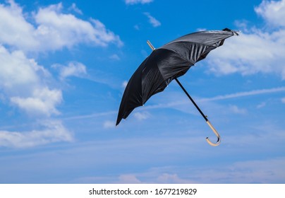 128 Concave beak Images, Stock Photos & Vectors | Shutterstock