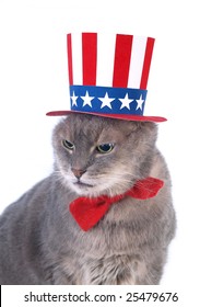 Uncle Sam Cat Stock Photo 25479679 | Shutterstock