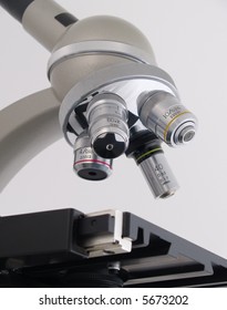 Under Microscope Stock Photo 5673202 | Shutterstock