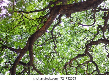 Stock Photo and Image Portfolio by Yaagsata | Shutterstock