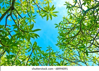6,397,093 Green blue trees Images, Stock Photos & Vectors | Shutterstock