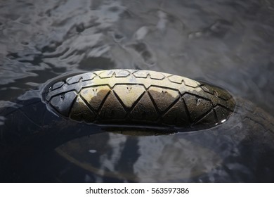 Underwater Objects Stock Photo 563597386 | Shutterstock