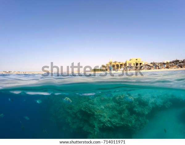 Underwater Surface Split View Tropics Paradise Stock Photo 714011971 ...