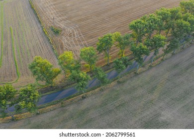 1,824 Undulating Road Images, Stock Photos, 3D objects, & Vectors ...