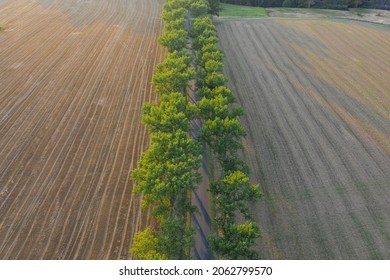 1,824 Undulating Road Images, Stock Photos, 3D objects, & Vectors ...
