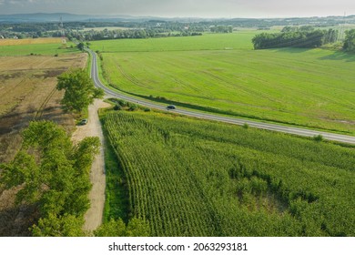 1,824 Undulating Road Images, Stock Photos, 3D objects, & Vectors ...