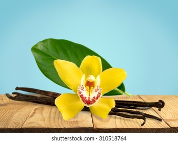 Vanilla Stock Photo 310518764 | Shutterstock