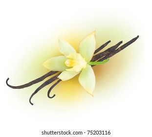 Vanilla Stock Photo 75203116 | Shutterstock