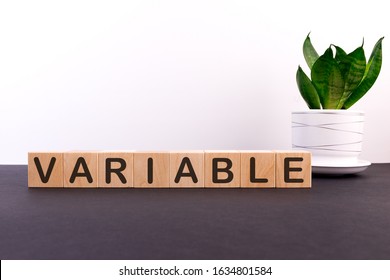 Variable Word Made Building Blocks On Stock Photo 1634801584 | Shutterstock