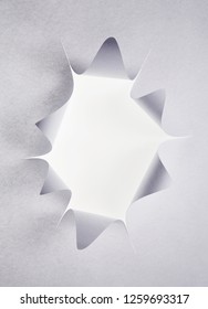 Various Ripped Paper Frames Stock Photo 1259693317 | Shutterstock