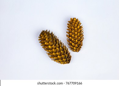 Various Types Cones Stock Photo 767709166 | Shutterstock