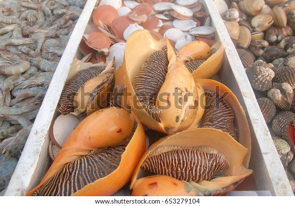 Various Types Fresh Shellfish On Display Stock Photo (Edit Now) 653279104