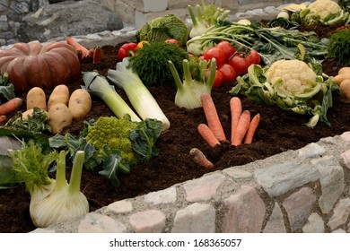 10,144 Vegetable case Images, Stock Photos & Vectors | Shutterstock