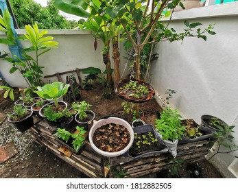 10,674 Vegetable corner Images, Stock Photos & Vectors | Shutterstock