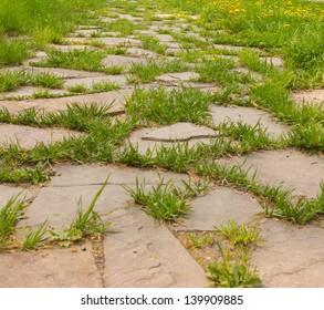 Verdurous Rustic Stone Path Stock Photo 139909885 | Shutterstock