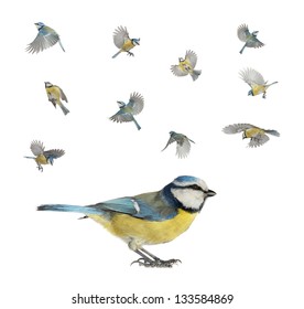Titli Images, Stock Photos & Vectors | Shutterstock