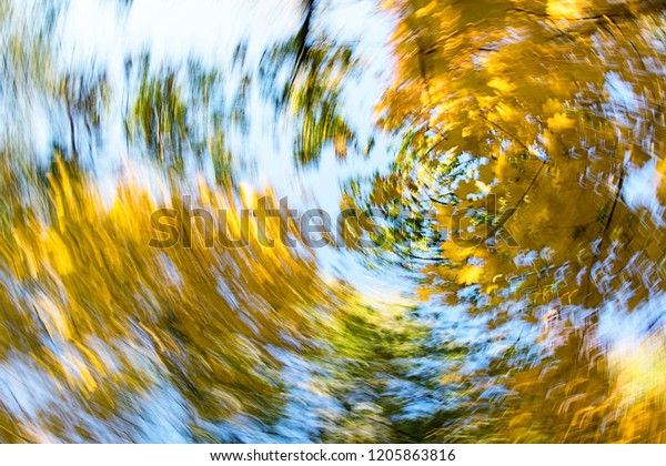 Vertigo Dizzy Tree Impression Illness Swirlautumn Stock Photo (Edit Now ...