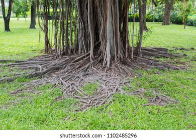 123 Very old foundation Images, Stock Photos & Vectors | Shutterstock
