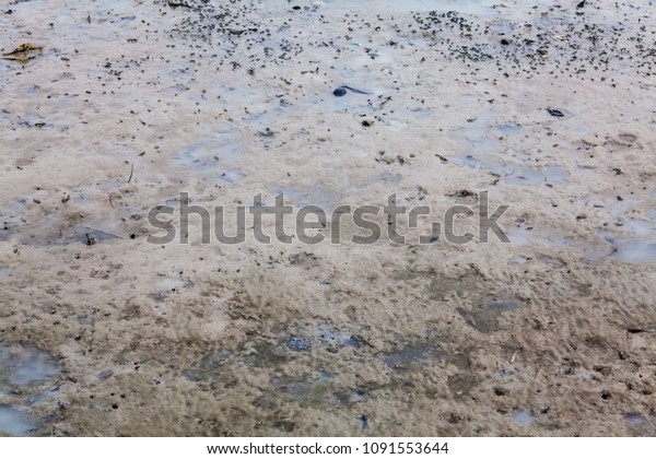 View Blurry Mud Texture Used Clay Stock Photo 1091553644 | Shutterstock