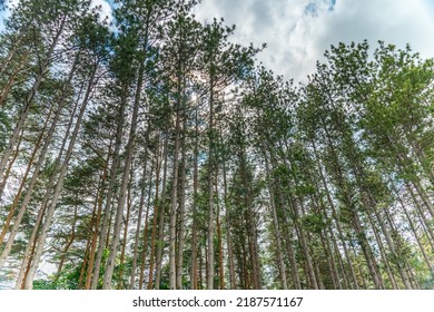 719 Lightening areas Images, Stock Photos & Vectors | Shutterstock