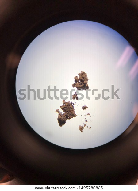 View Dirt Through Microscope Stock Photo 1495780865 | Shutterstock
