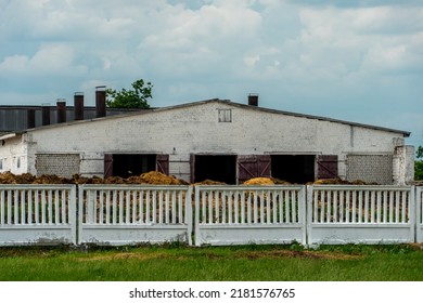 194 Empty cattle shed Images, Stock Photos & Vectors | Shutterstock