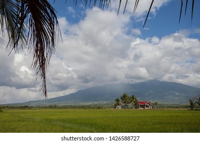 555 Bicol mountain Images, Stock Photos & Vectors | Shutterstock