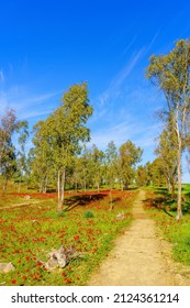 1,133 Negev winter Images, Stock Photos & Vectors | Shutterstock