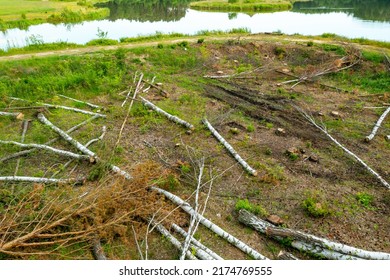 22,168 Cut Down A Forest Images, Stock Photos & Vectors | Shutterstock